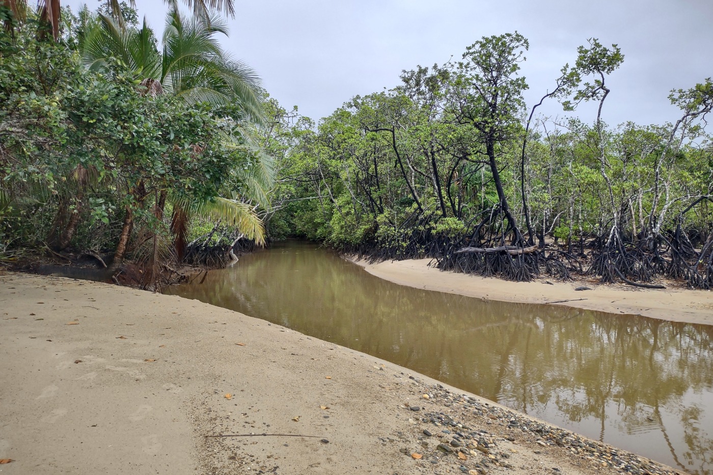 Cow Bay Australia - Port Douglas Australia