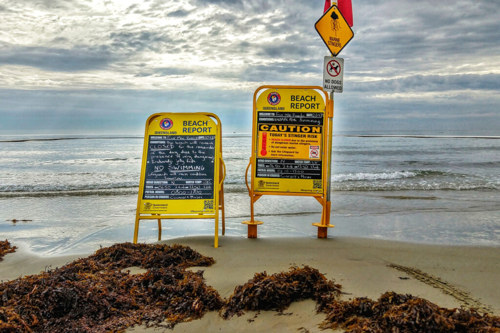 Stinger Season in Port Douglas - Port Douglas Australia