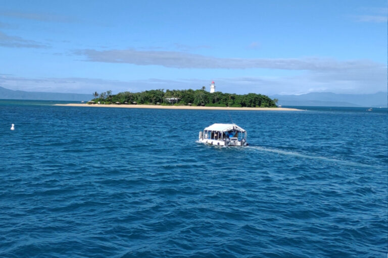 How To Visit The Low Isles From Port Douglas