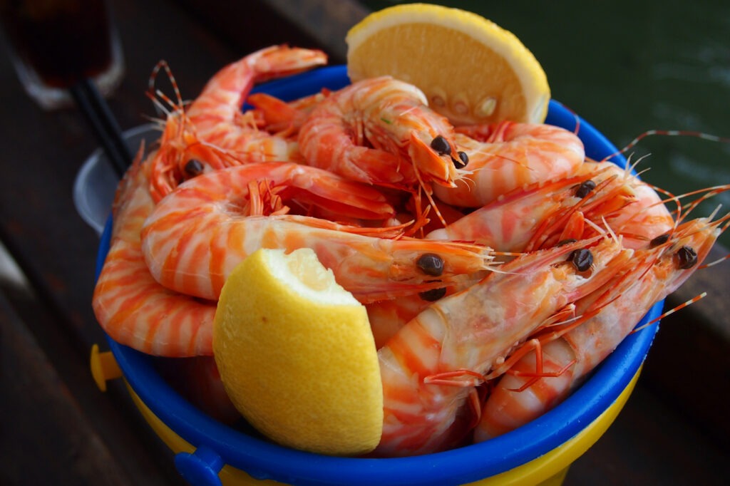 Where To Get a Bucket of Prawns in Port Douglas - Port Douglas Australia