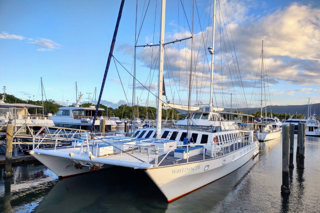 How To Visit The Low Isles From Port Douglas